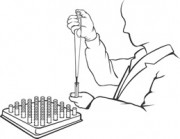 How to pipette properly: Posture is key.